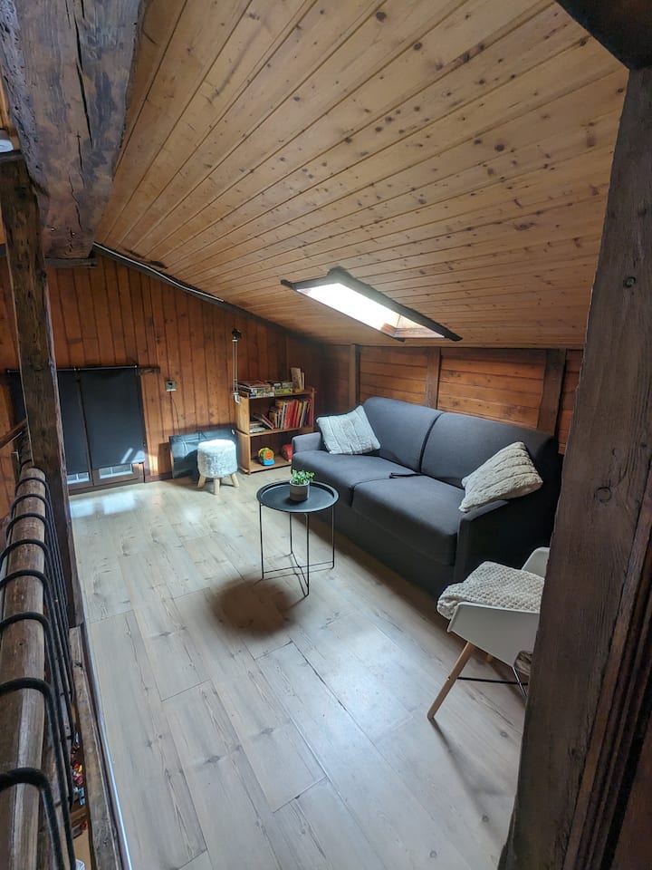 Nendaz Chalet Mayen - Sion