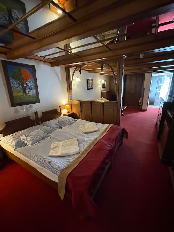Beautiful Antique Apartment With Mirror Ceiling - Bratislava