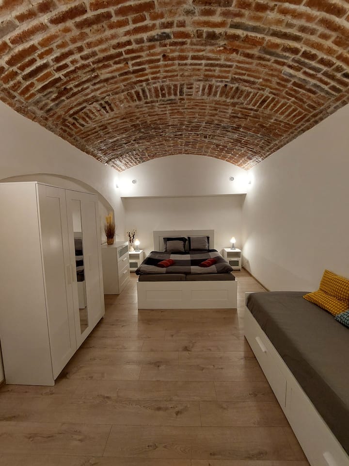 Prostorný Byt S Terasou V Centru Se Snídaní - Prague