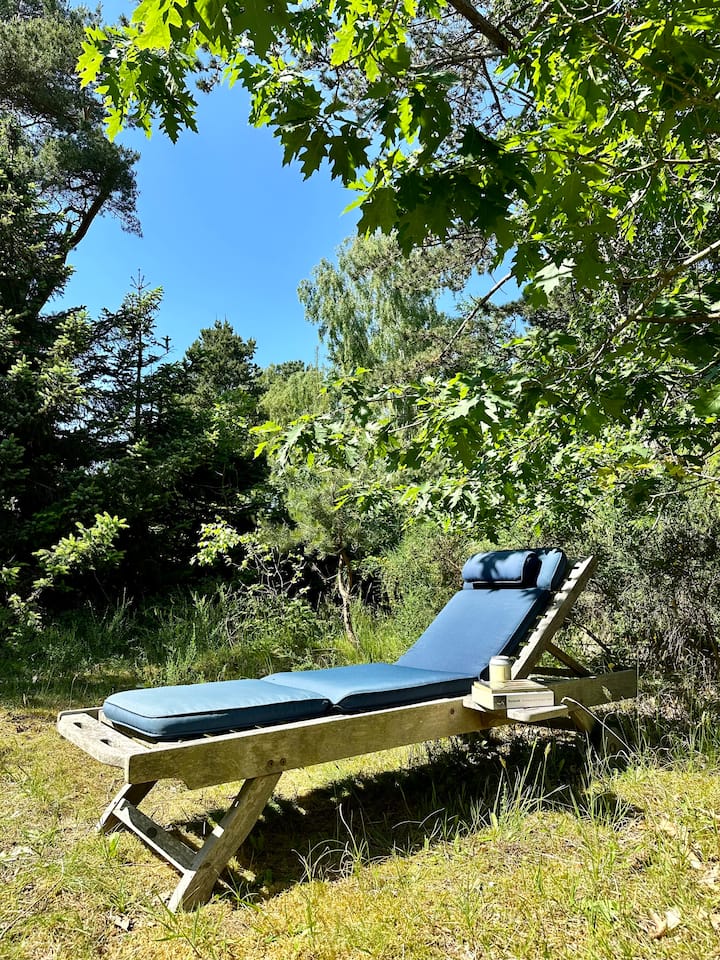 Skønt Fritidshus I Skoven 150m Fra Havet - Dania