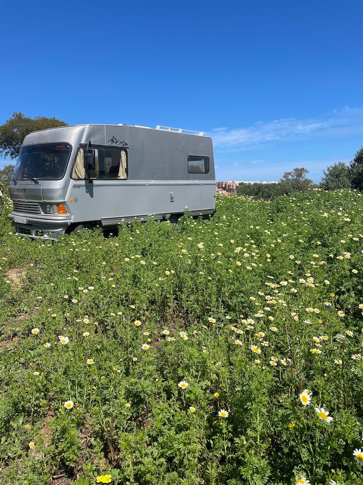 Autocaravana Bohemia - Tarifa
