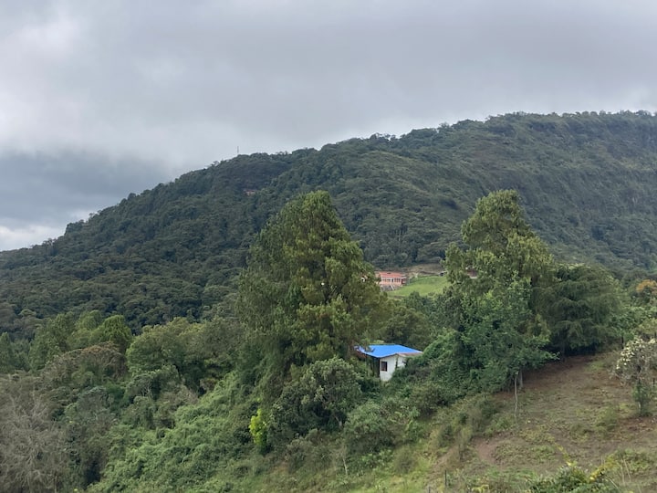 Cabin In The Mountains - La Calera