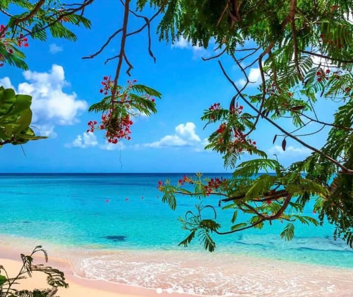 Paradise Townhome On Mullins Beach - Barbados