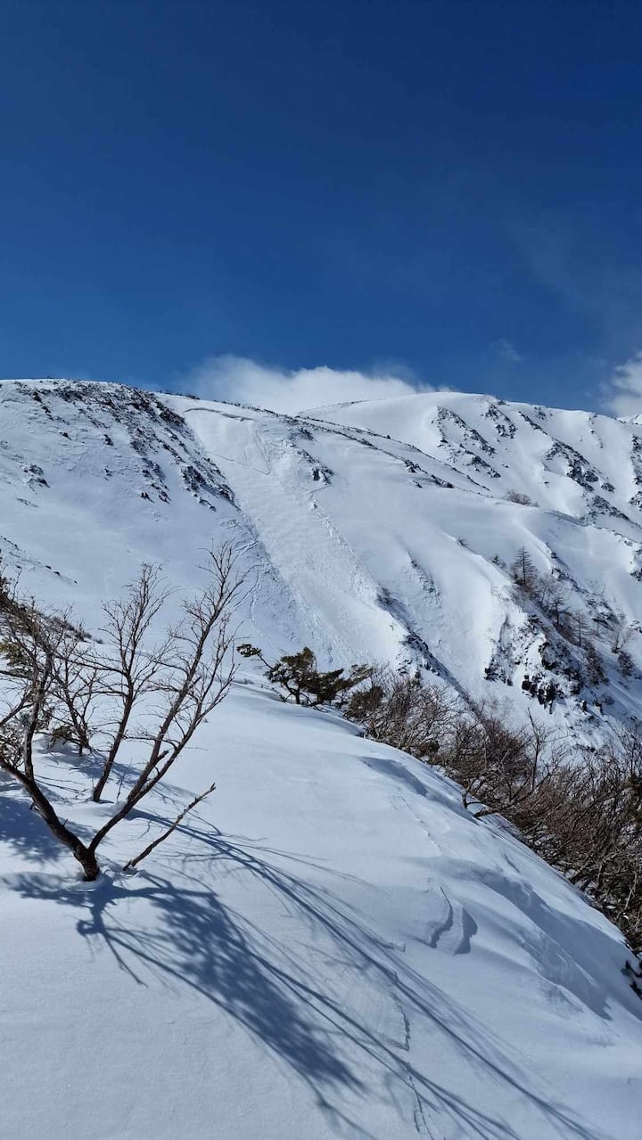 Powder Peak Condo Free Courtesy Car - Hakuba