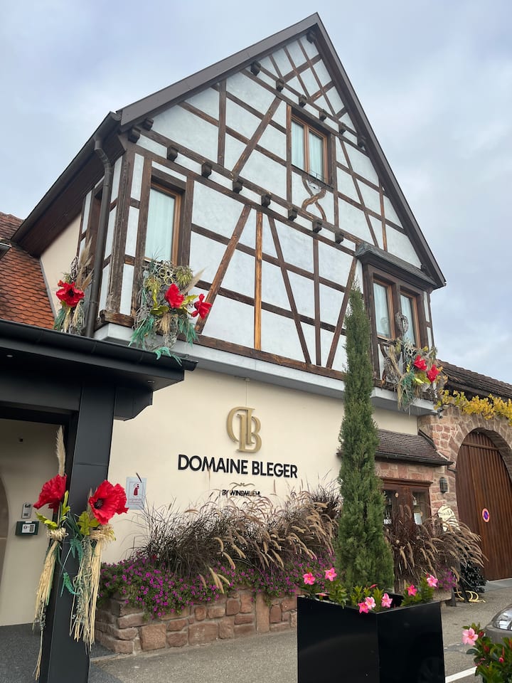 Domaine Viticole - Bergheim, France