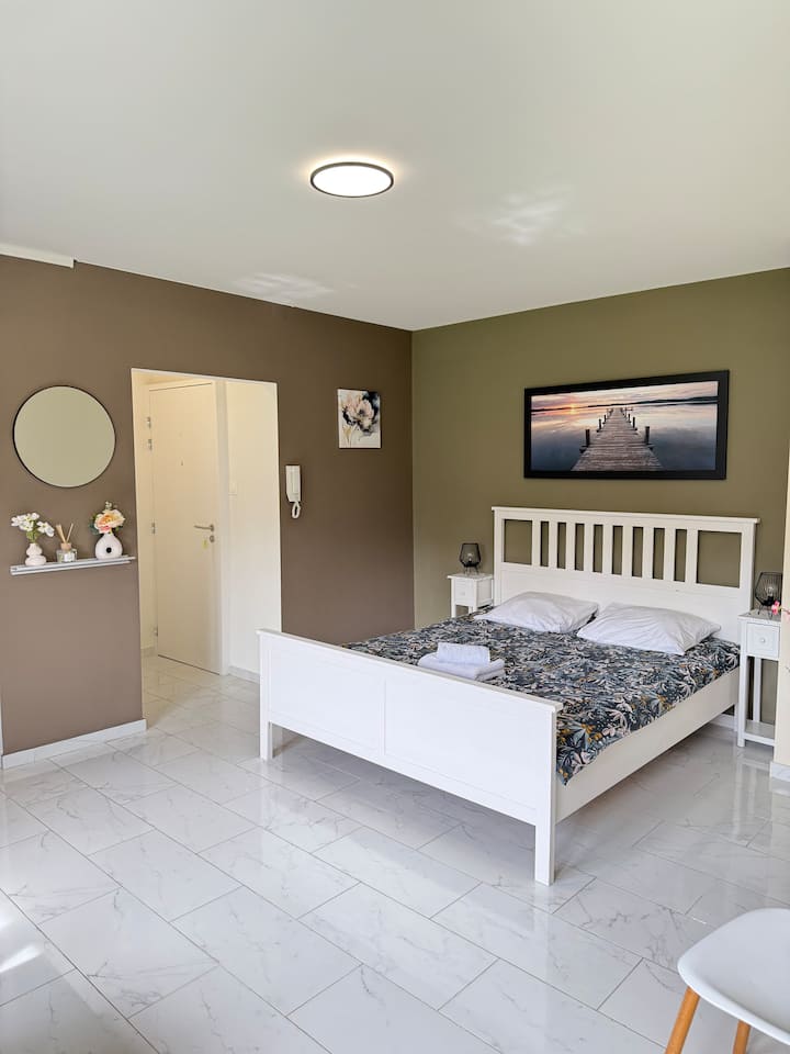 Charmant Appartement à 5 Min Basel Parking Gratuit - EuroAirport Basel-Mulhouse-Freiburg (BSL)