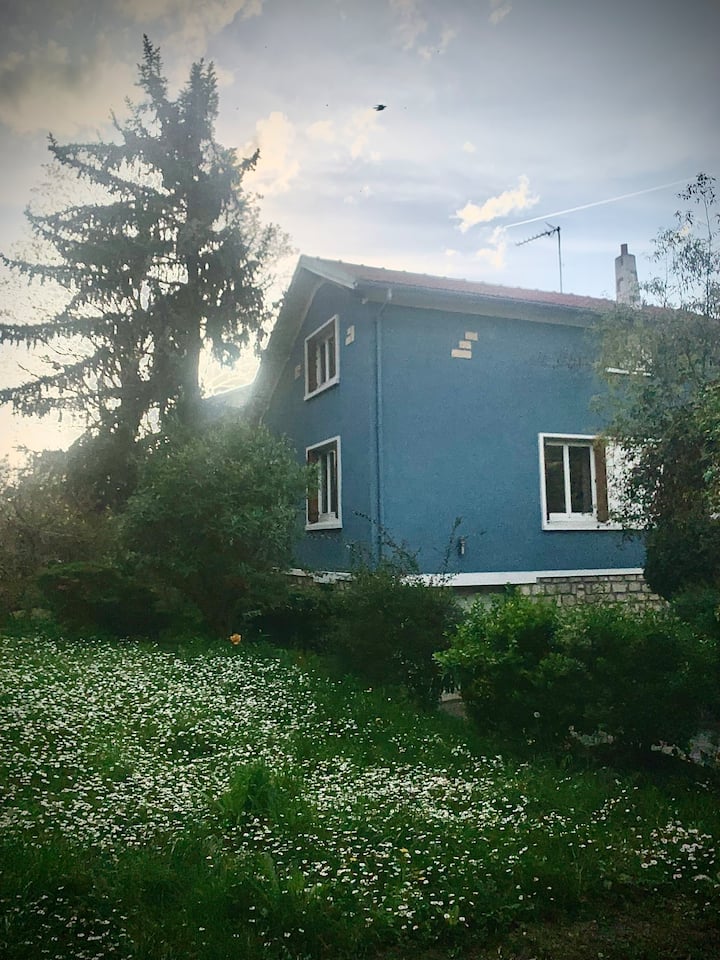 Maison Bleue Prox Cdg Disney Arena Bourget - Roissy-en-France