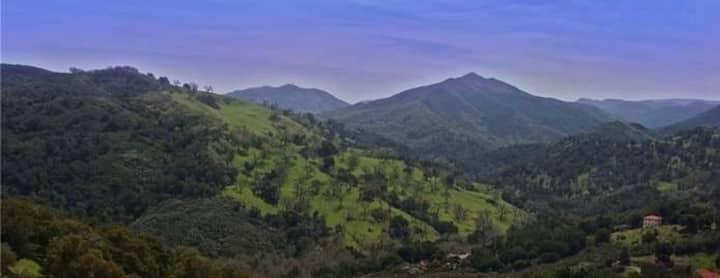 Oak Creek Retreat - Atascadero, CA