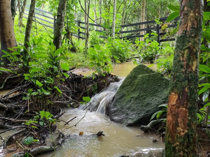Sítio ÁGuas Da Serra - Seu Refúgio Natural - Santo Amaro da Imperatriz
