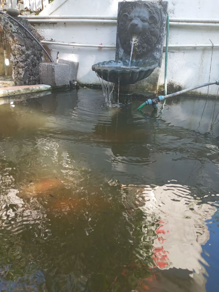 Holiday Beach House. - 모리셔스