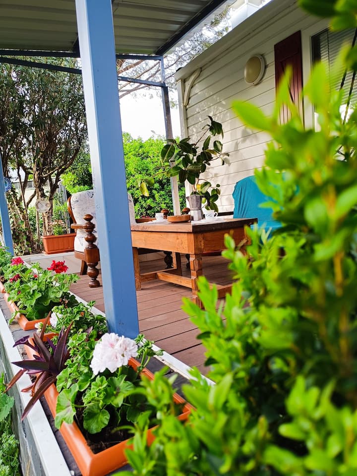 Villa Ardilla - Piedralaves