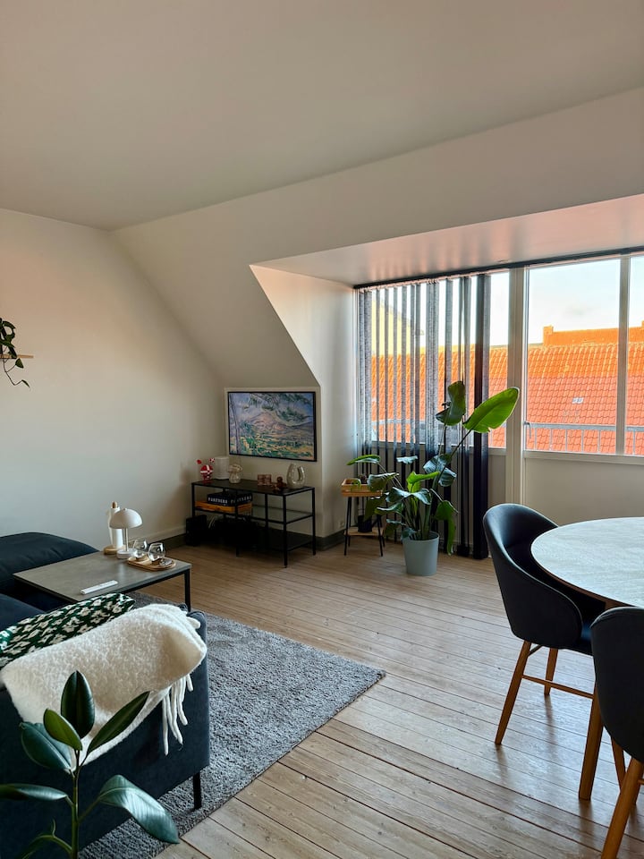 Ideel Til Expats, Projektansatte Og Langtidsleje - Odense