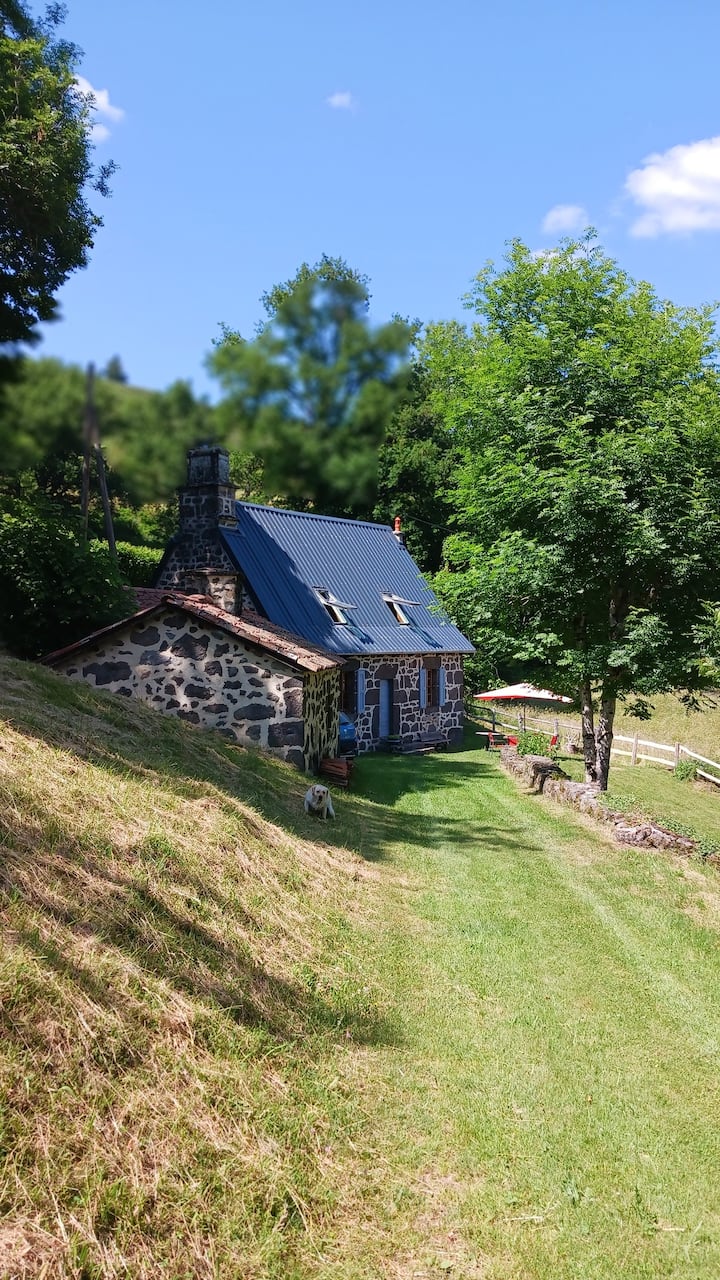 Maison Isolée Pour Les Amoureux De Nature - Vic-sur-Cère