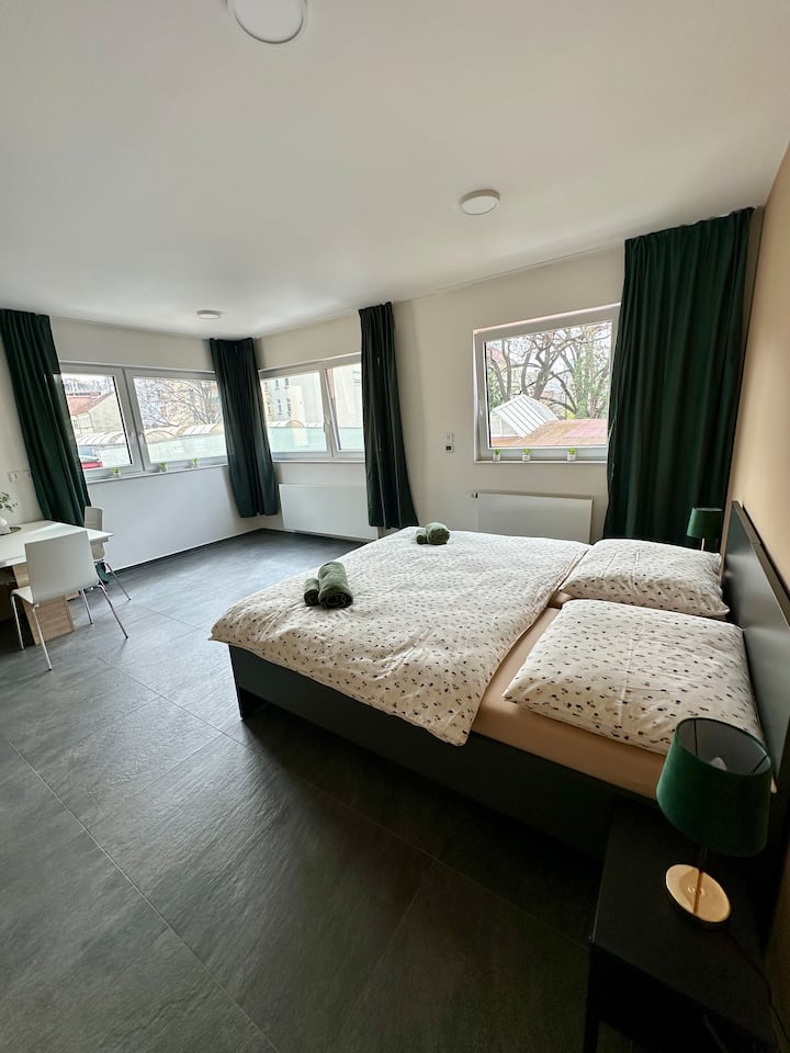 Palac Anežka C1 - Brno