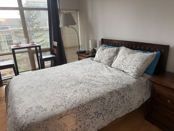 Large Room With En-suite Washroom - Rosedale