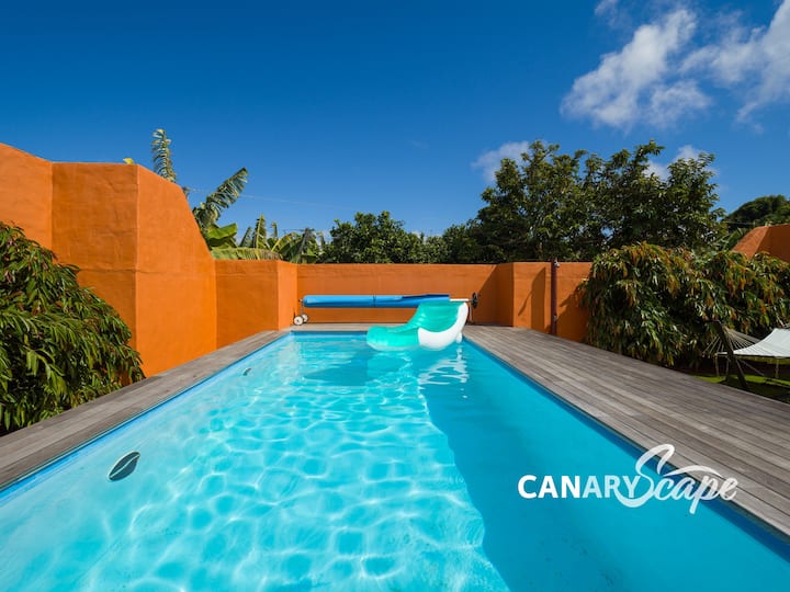 Luxury Banana Haven Villa With Pool By Canaryscape - Arucas