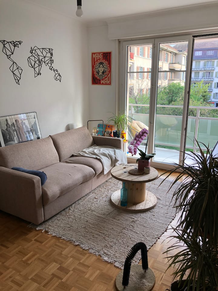 Appartement Avec Balcon à Deux Pas Du Lac - Lausanne