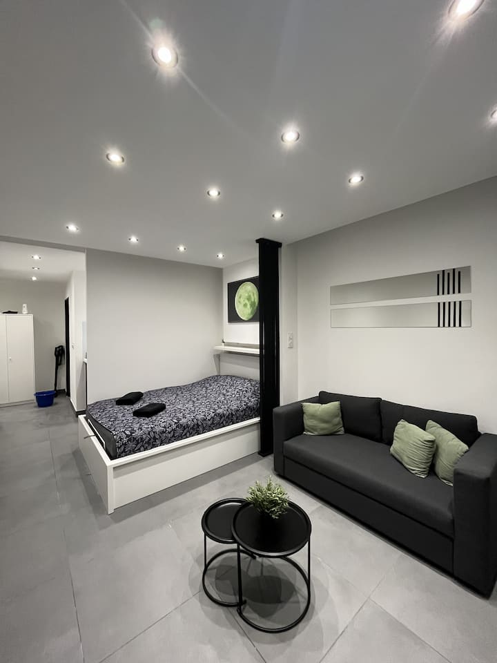 Moongreen | Euroairport | Basel | Highquality - Ibis Aéroport Bâle Mulhouse