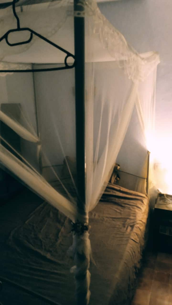 Chambre Lgbt Friendly Proche Tramway Fac Treflerie - Saint-Étienne