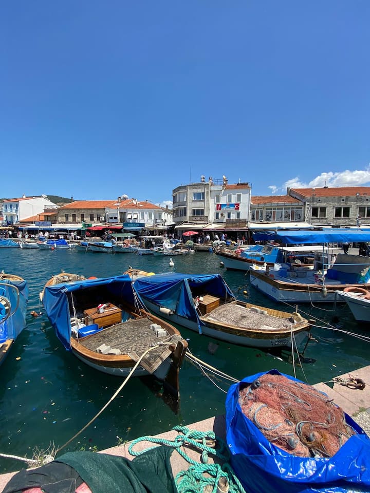 Chios 1850 Yapımı Taş Ev 1+0 Mutfaklı Miamorphokai - Foça