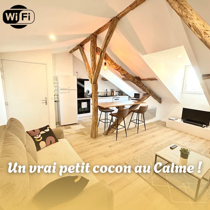 Victor Hugo - Un Petit Cocon Au Calme - Auch