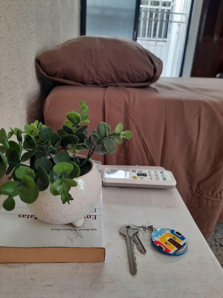 Depa Entero Con Tv - Campeche state, Mexico