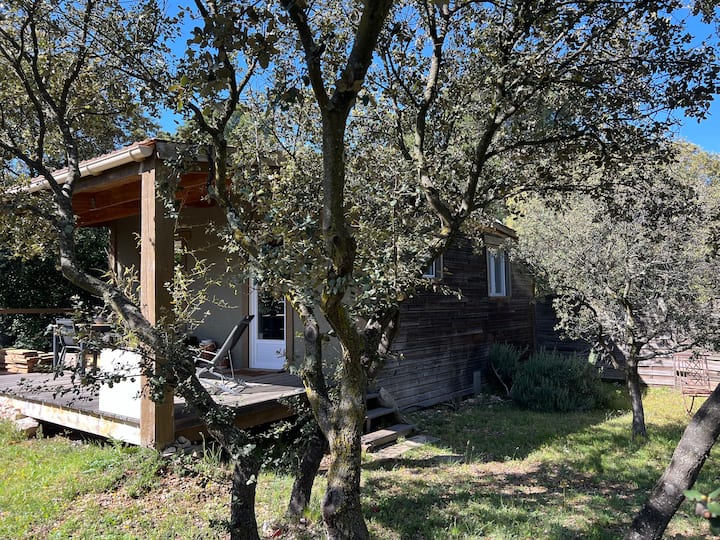 La Cabane Au Fond Du Jardin - Cavaillon