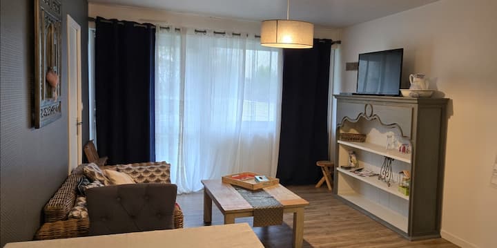 Appartement T2 Très Cosy Proche Centre Ville - Angers