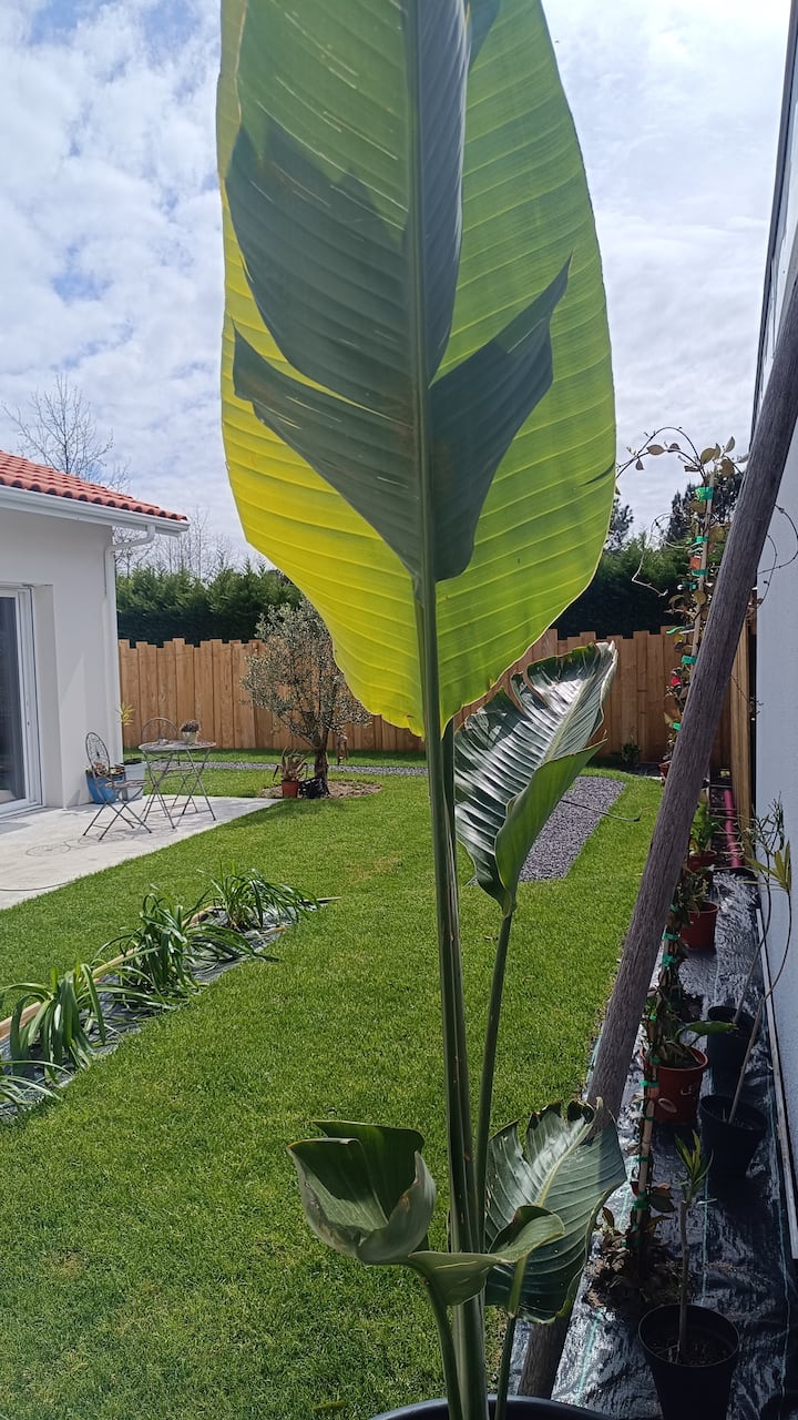 La Villa Baie Du Lac - Biscarrosse