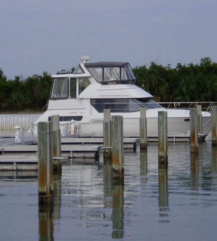 The Salt Life On Luxury Yacht - Clearwater, FL