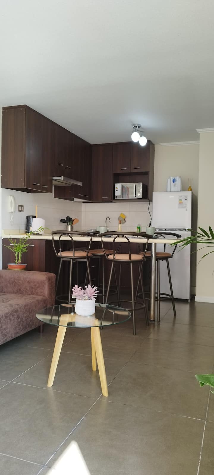 Central Y Acogedor Dept/est Gratis - Antofagasta, Chile