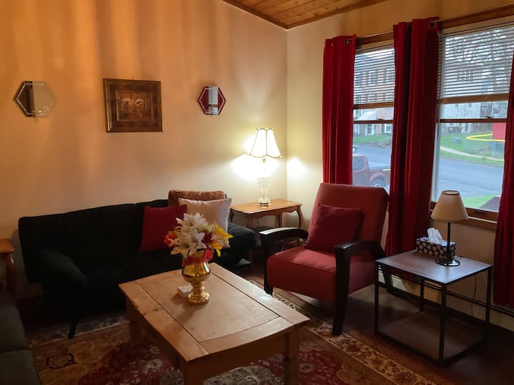 Lovely Apt Plus Studio / Half Duplex - Saugerties, NY