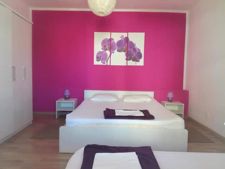 Apartman Dama - Biograd na Moru