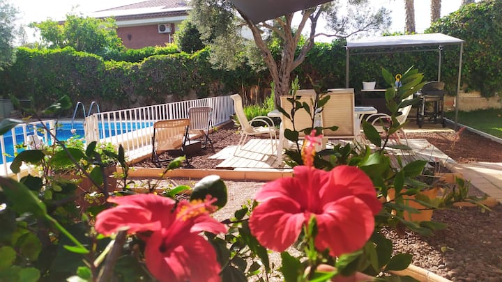 Un Trocito De Paraíso Junto Al Mar - Alicante
