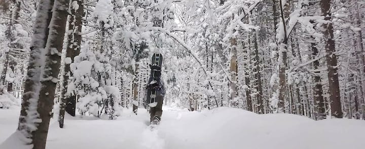 Our Favorite Place In The World - Laurentides