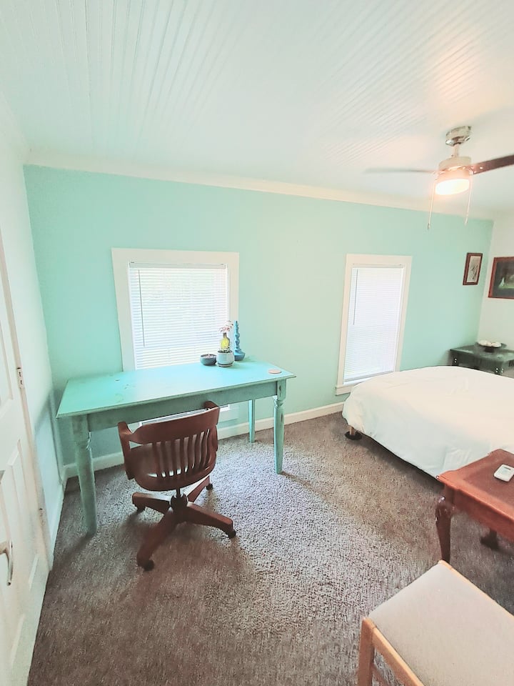 Earthvine: Zen Pet-friendly Downtown Oasis - Iowa State University, Ames