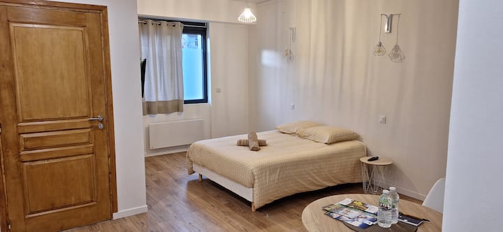 *Studio Centre Lourdes 1* - Lourdes