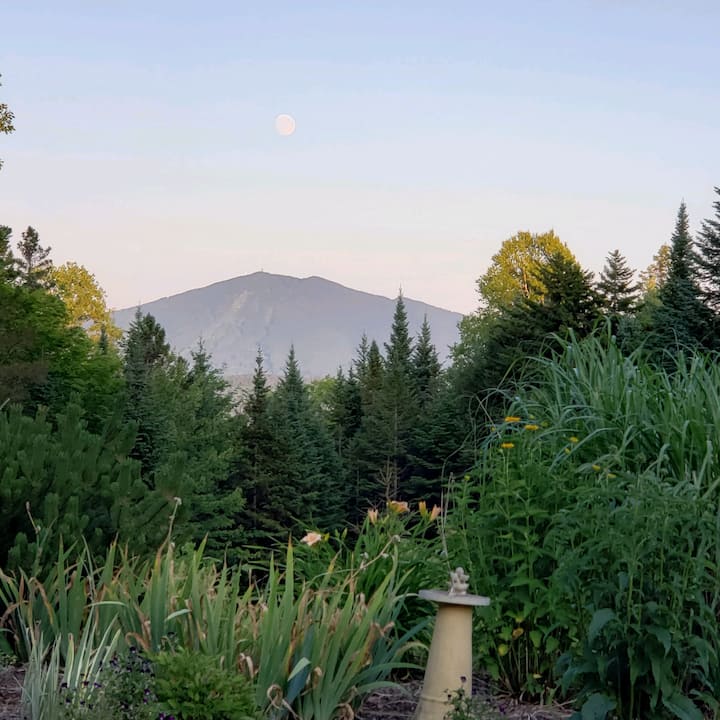Private Cape, Vast Trails, Great Gravel Biking! - Burke Mountain, VT