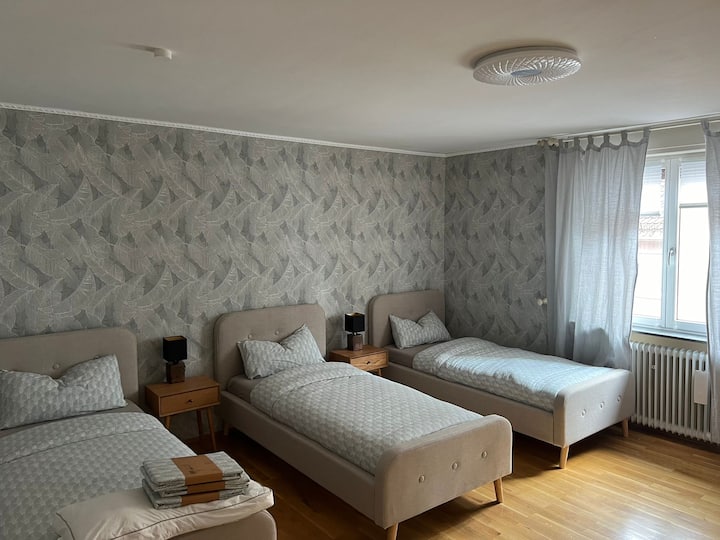 Apartment Albert Schulte Park - Worms