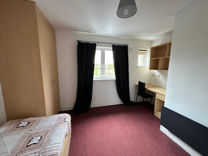 Professionals Cohabiting - Limerick