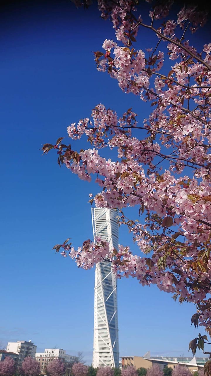 Centralt Boende, 200 M Från Hav. - Malmö