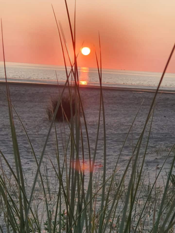 Ferienhaus In Holland Am Meer Mit Sauna Whirlpool - Middelharnis