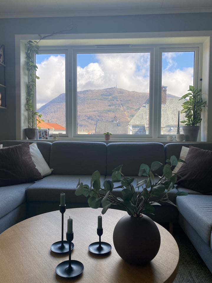 Central Apartment With A View - Bergen Airport (BGO)