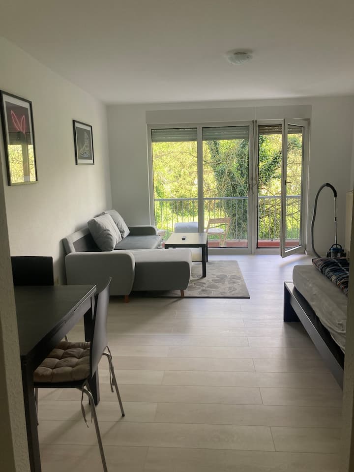 Schönes, Gemütliches Appartement In Stadtmitte - Sarrebruck