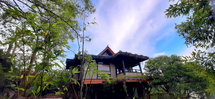 Paradise Private Alto-zen - Treetop Magic - Knysna