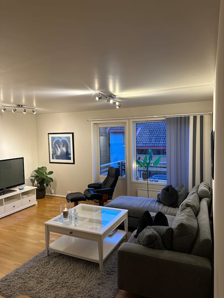 3 Roms Leilighet I Trondheim, 5 Sengeplasser - Trondheim