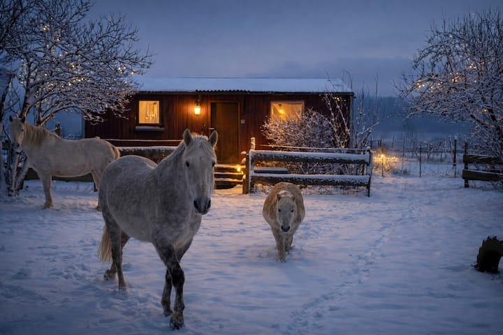 Cosy Lodge * Nature Retraite, Près De Berlin - Werneuchen