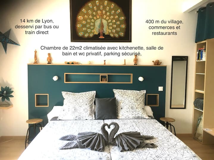Chambre Avec Kitchenette 22 M2 Climatisée… - Neuville-sur-Saône