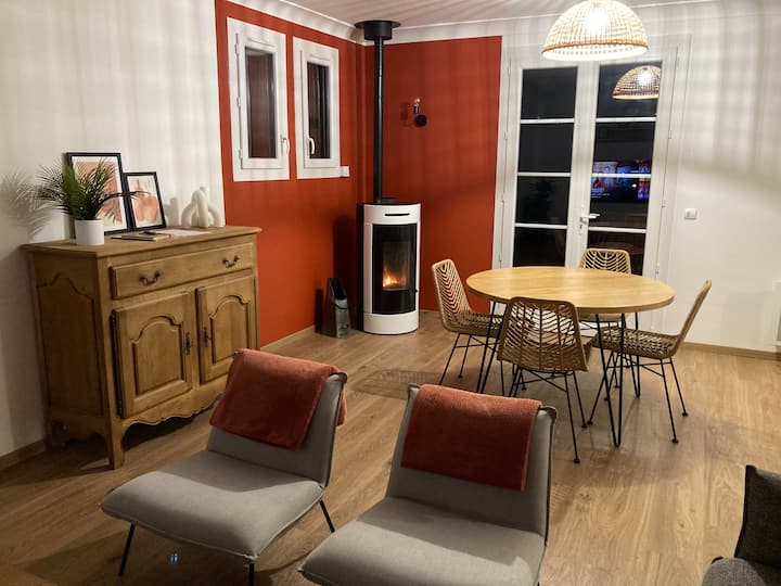 Gîte Le Pic Du Ger - Laruns