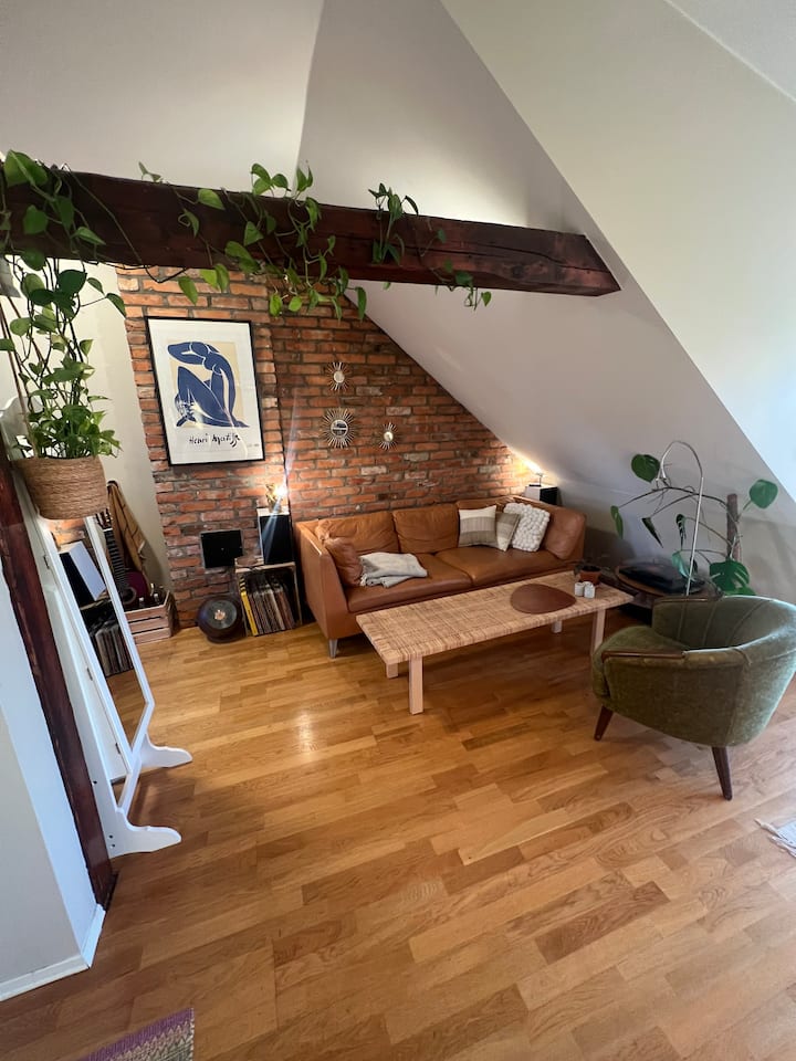 Central Sunset Loft W/view By Botanical Gardens - Oslo